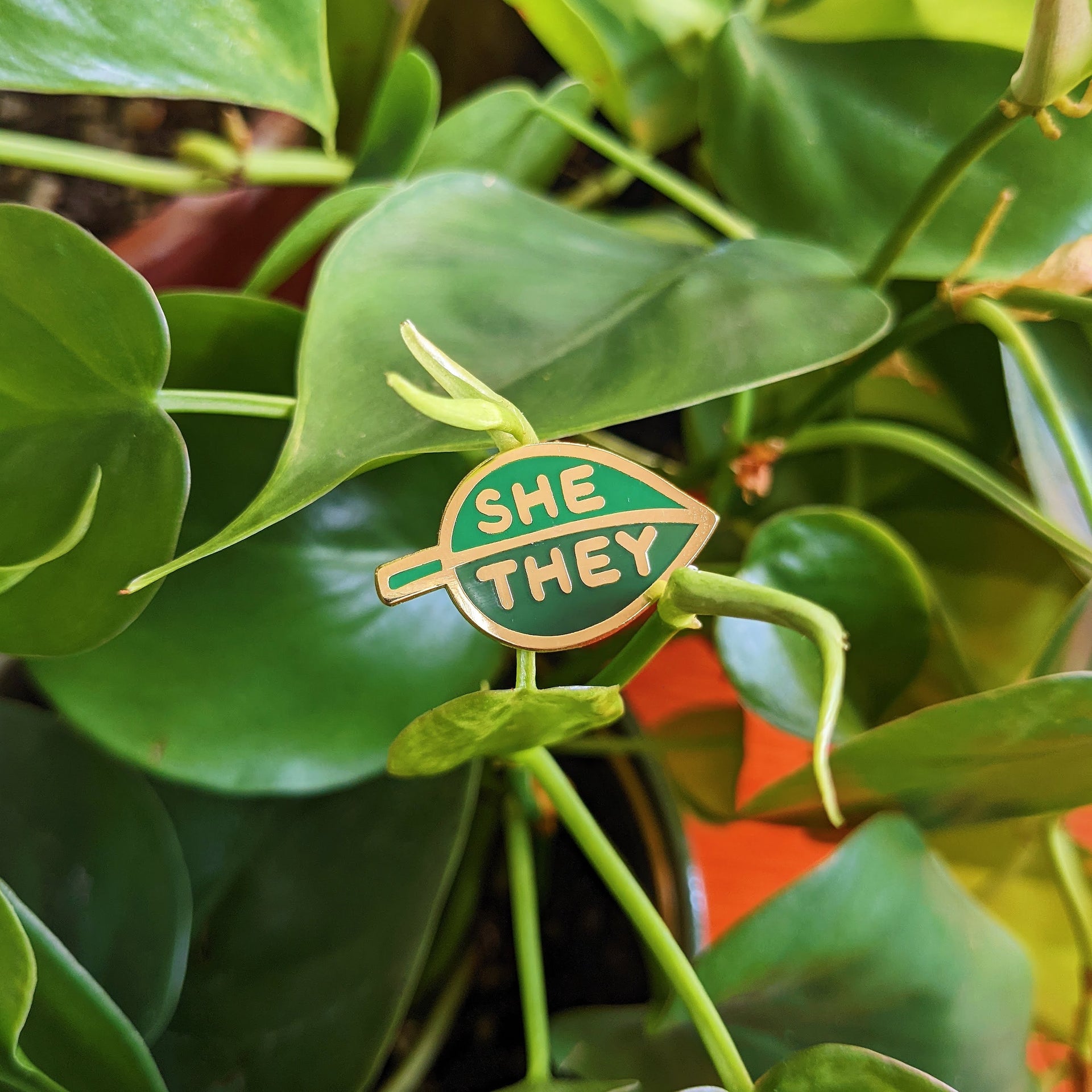 Pronoun Leaf Pin - she/they – misomomo